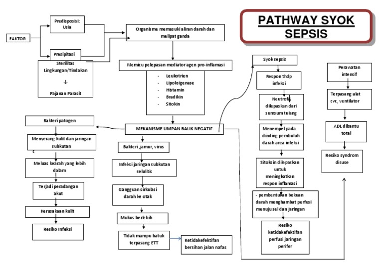 Pathway dan Patofisiologi Syok Sepsis | PDF