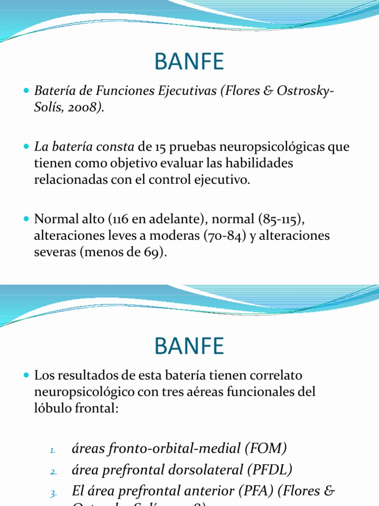 BANFE Correcciones | PDF | Memoria de trabajo | Memoria