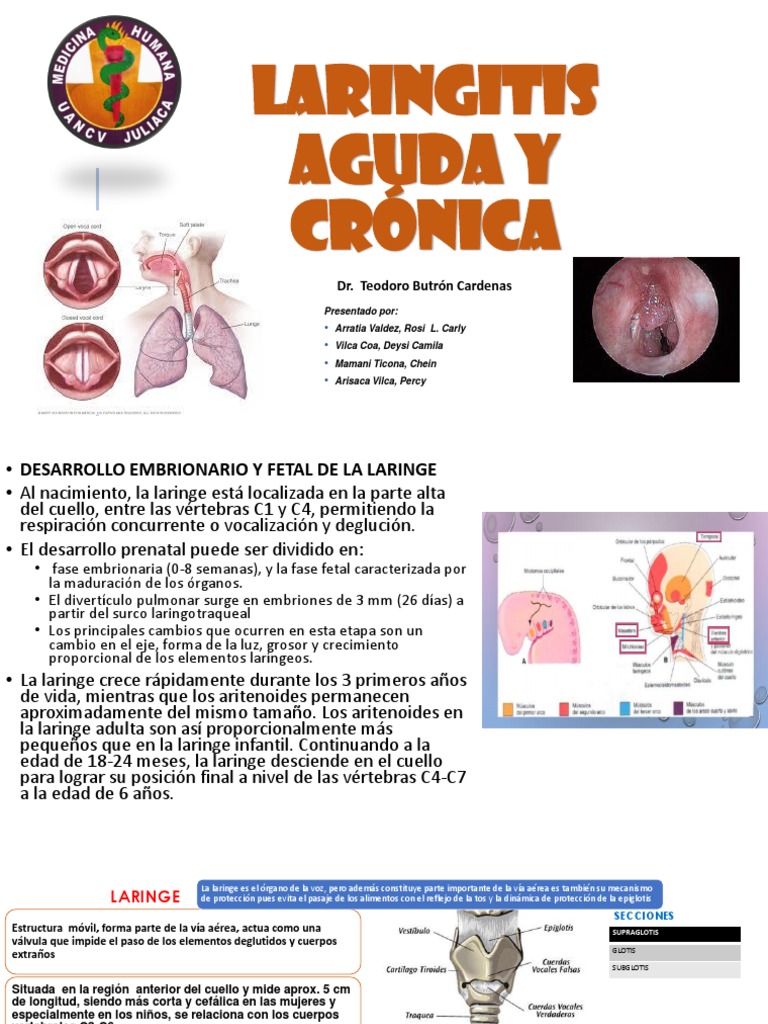 Laringitis Aguda y Crónica | PDF | Tos | Enfermedades respiratorias