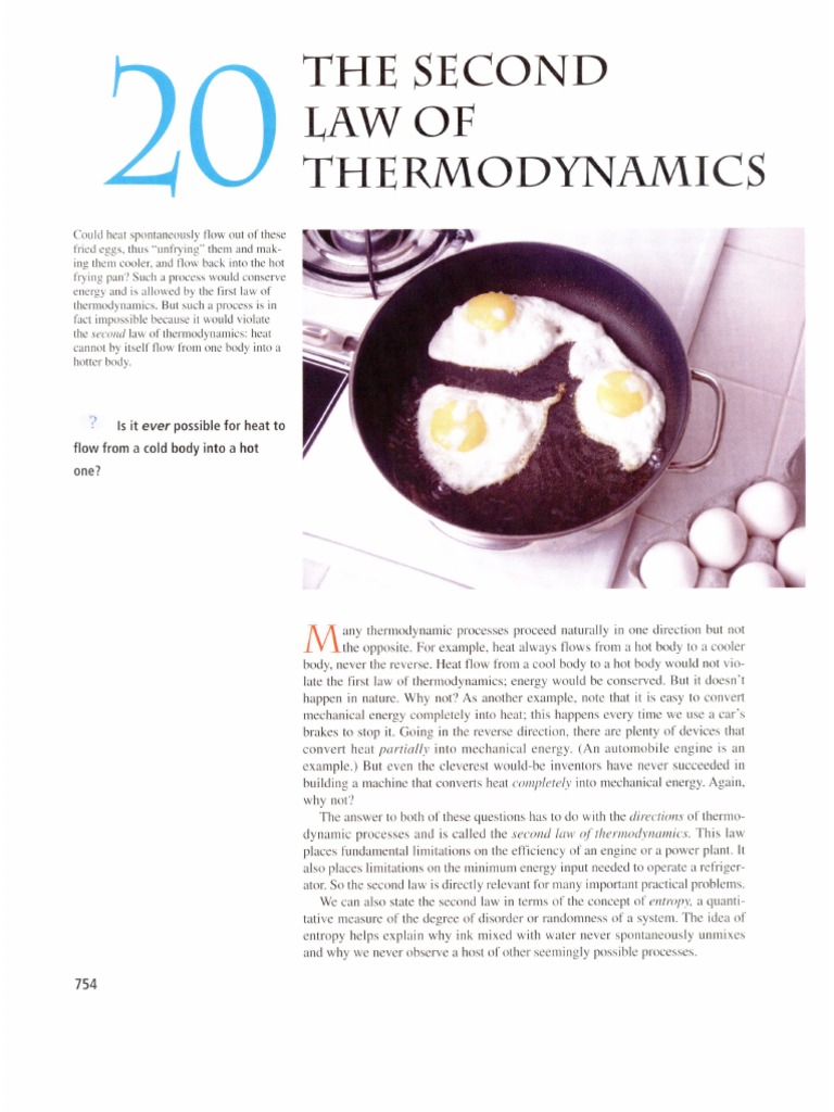 Chap 20 Text | PDF