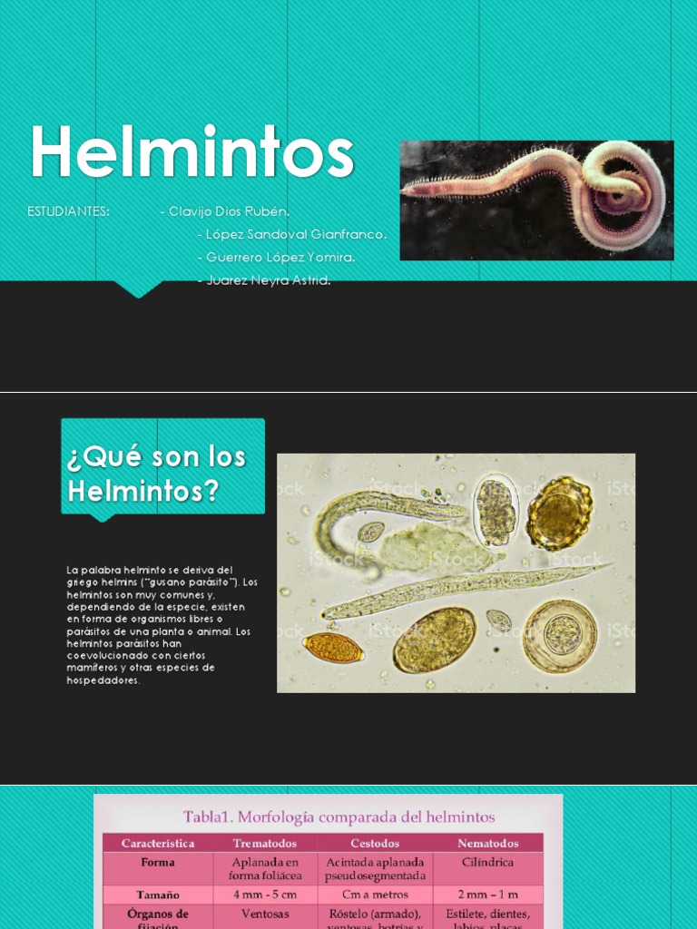 Helmintos | PDF | Ciencias de la Salud | Especialidades Medicas