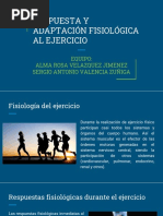 Las Uniones GAP | PDF | Músculo | Contracción muscular