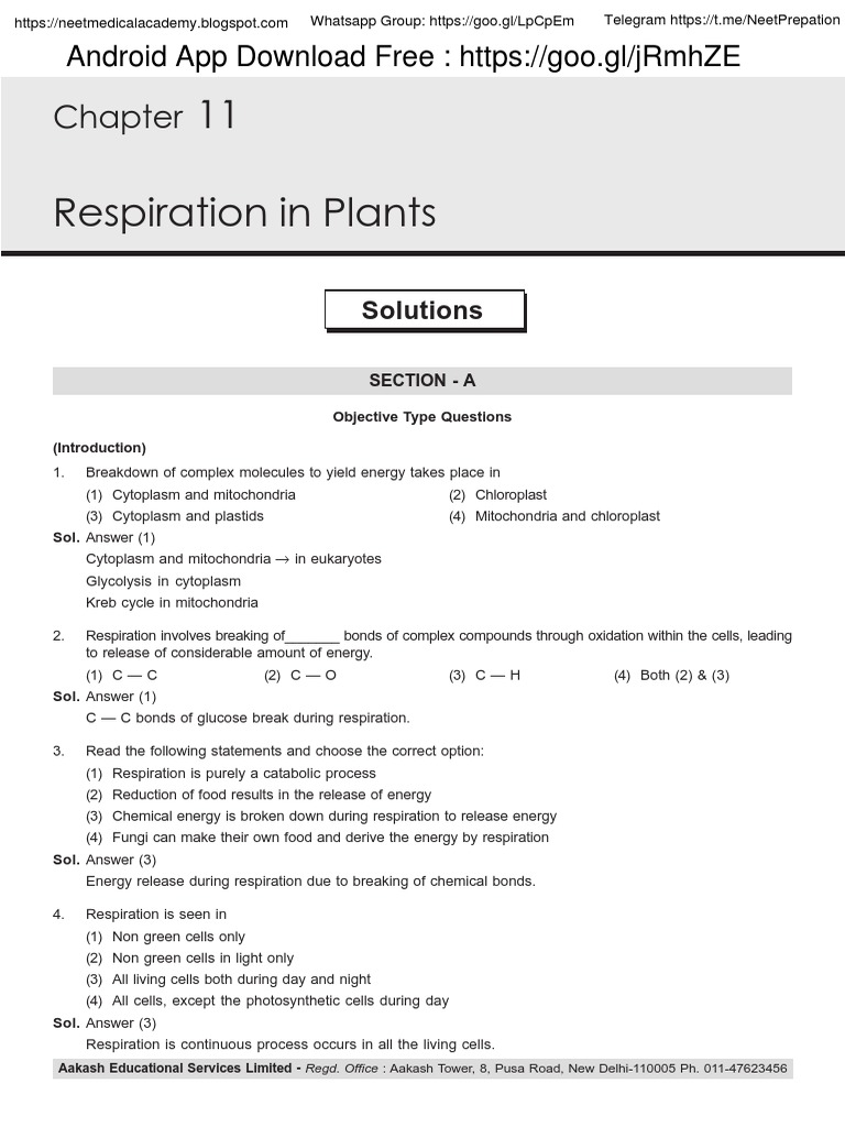 NEET Plant Respiration Quiz | PDF | Cellular Respiration | Citric Acid ...
