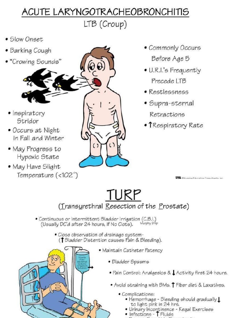 Memory Notebook of Nursing PowerPoint | PDF