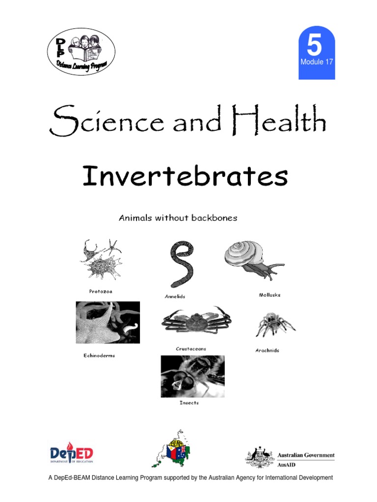 Invertebrates PDF | Download Free PDF | Invertebrate | Living Fossils