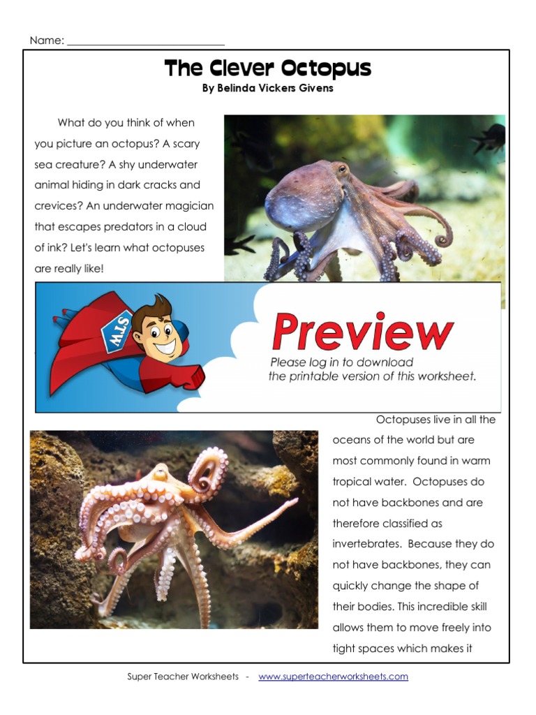 5th Eight Legged Creatures Pdf Pdf Octopus Predation