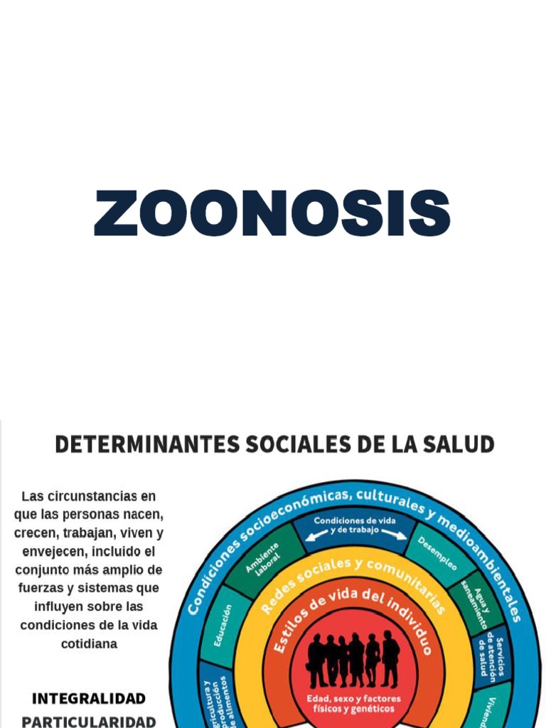 Zoonosis: Clasificación y Vigilancia | PDF | Epidemiología | Infección