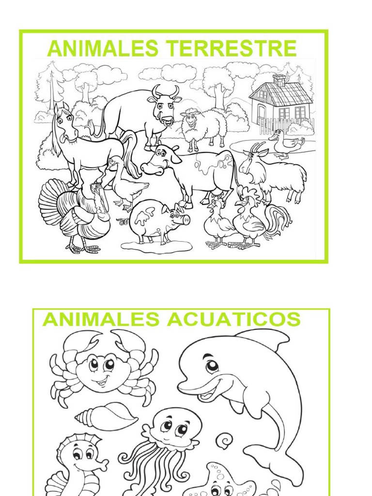 Ficha De Animales Terrestres Y Acuáticos