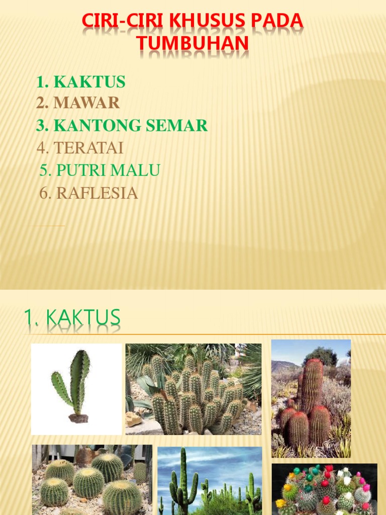 Ciri-Ciri Khusus Pada Tumbuhan | PDF
