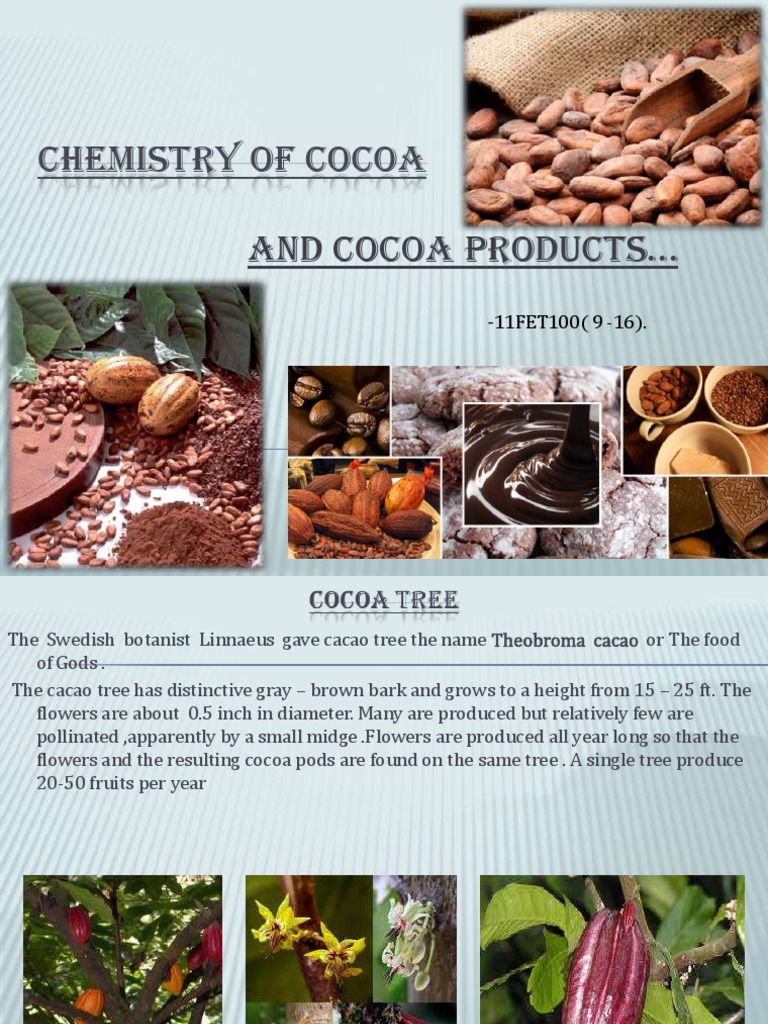 Cocoa Chemistry and Processing PDF | PDF | Chocolate | Cocoa Bean