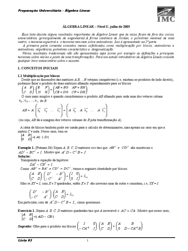 Álgebra Linear - Conceitos Fundamentais e Resultados Avançados | PDF ...