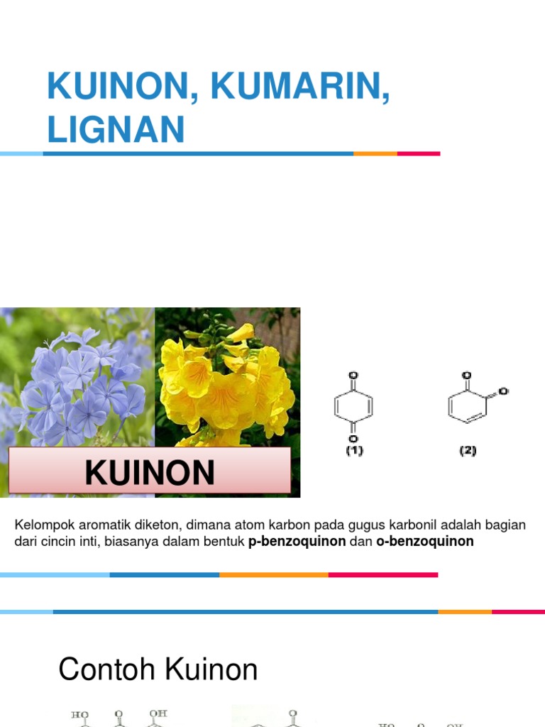 Kuinon, Kumarin, Lignan-1 | PDF