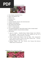 Khasiat 7 Obat Cina Legendaris | PDF