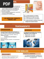 Incisión Rocky Davis | PDF | Medicina CLINICA | Anatomía