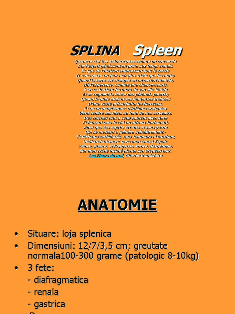 SPLINA | Descargar gratis PDF | Spécialités médicales | Bien-être