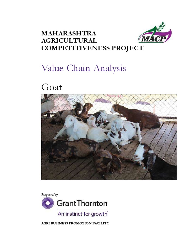 Goat Value Chain MACP | PDF | Goat | Agriculture