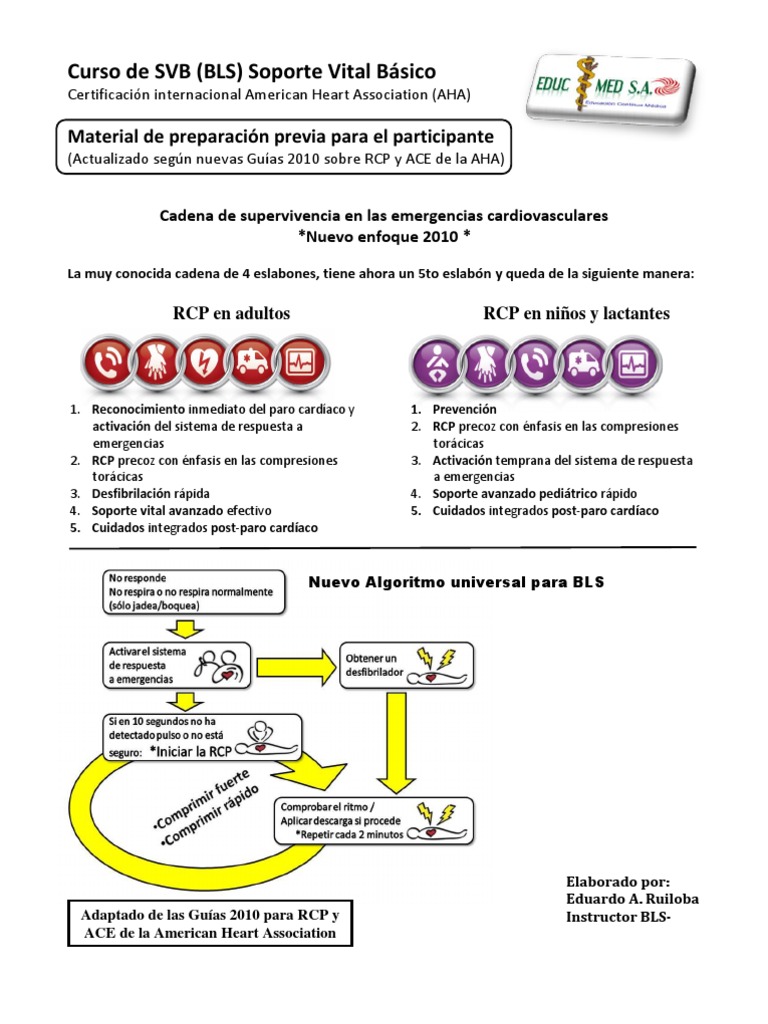 Algoritmo BLS y Cuidados Post Paro 2024 | PDF | Reanimación ...