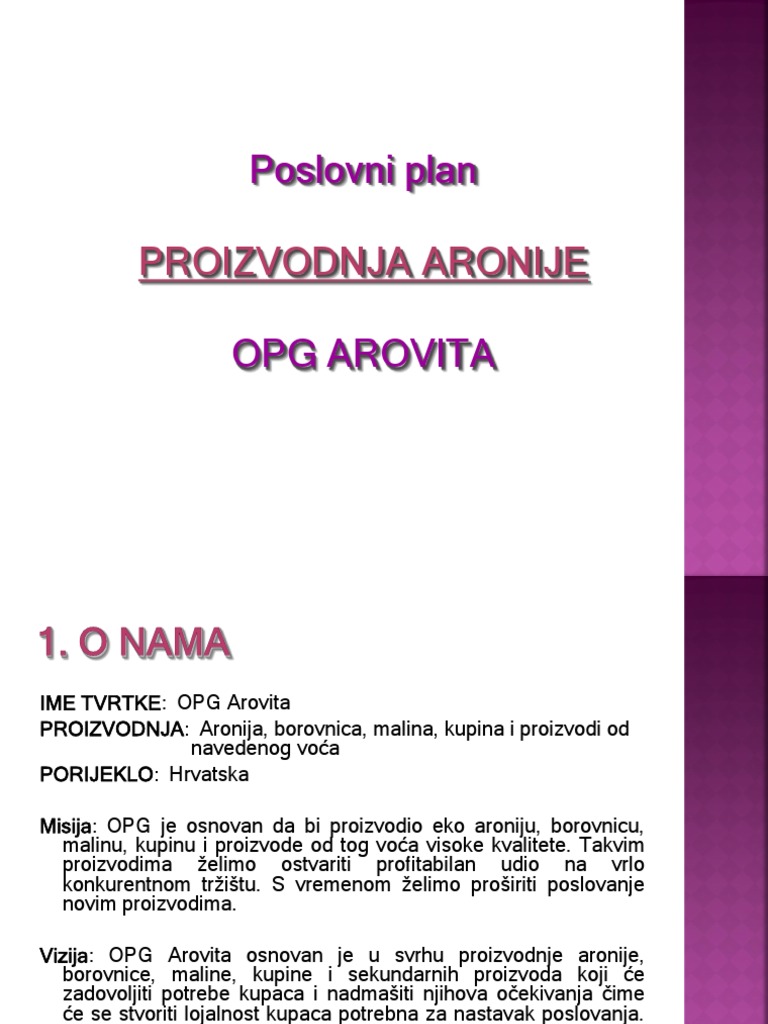 Poslovni Plan - Matija Herceg | PDF