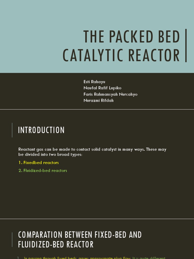 Packed Bed Catalytic Reactor Overview | PDF | Chemical Reactor ...