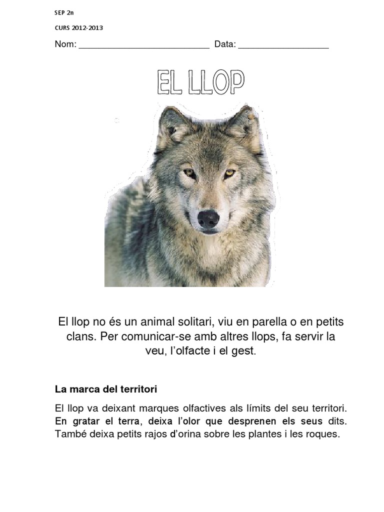El Llop PDF | PDF
