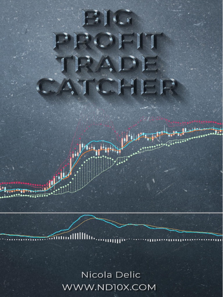 Big Profit Trade Catcher Manual | PDF | Business
