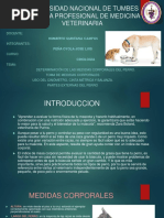 Morfología del perro: Graioides y Occipucio | PDF | Diente | Pastor alemán