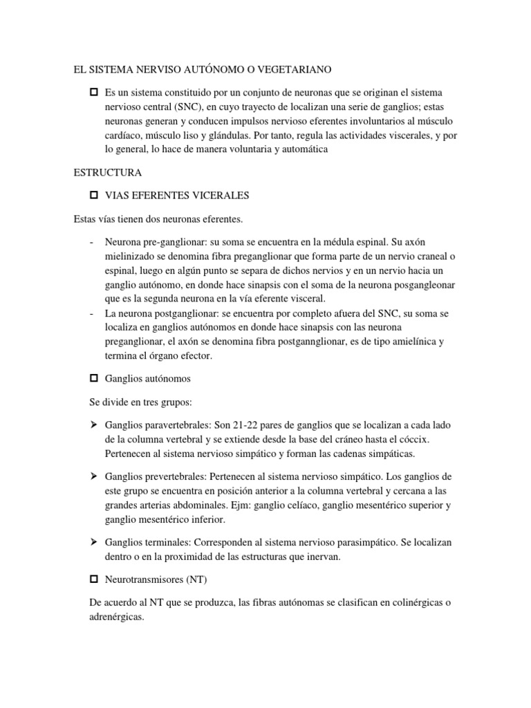 Sistema Nervioso Autónomo: Estructura y Función | PDF | Acetilcolina ...