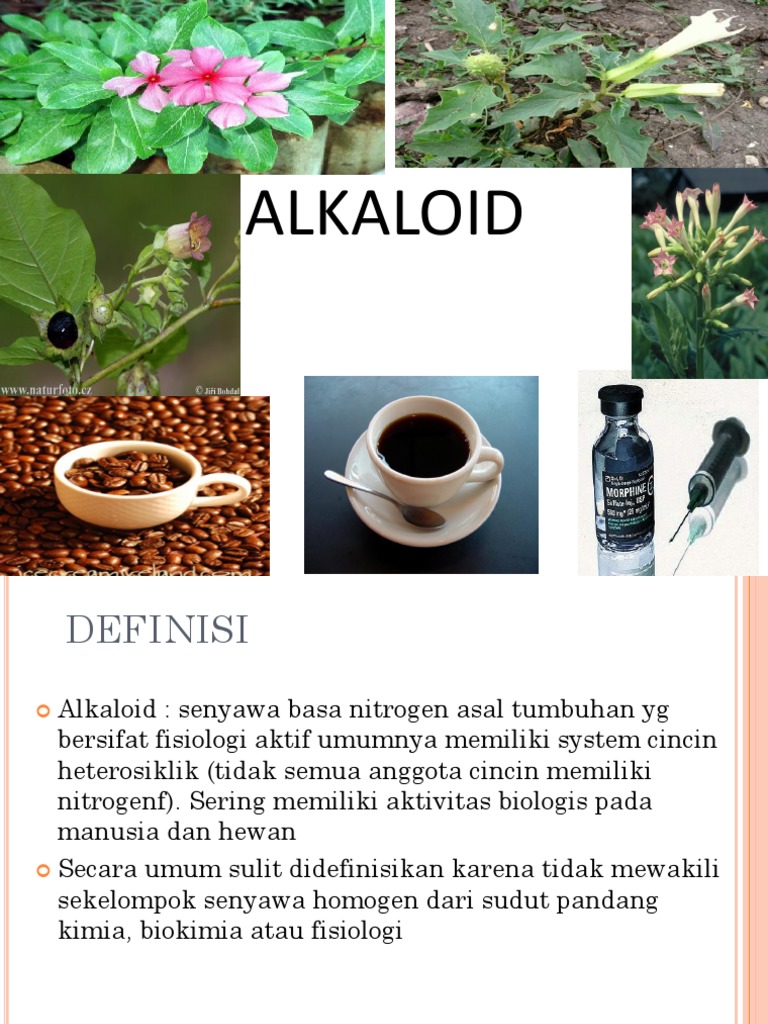 Alkaloid-1 | PDF