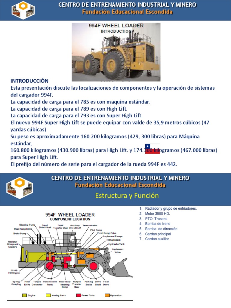 Estructura y Funcion 994f | PDF