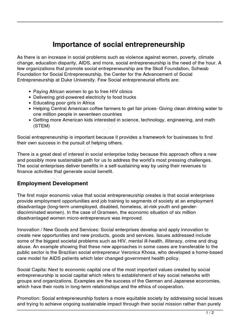 Importance of Social Entrepreneurship | PDF | Social Entrepreneurship ...
