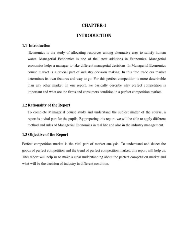Economics Project Report | PDF | Perfect Competition | Profit (Economics)