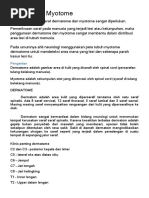Peta Dermatome dan Inervasi Kulit | PDF