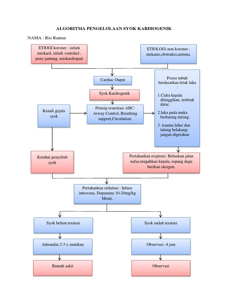 ALGORITMA PENGELOLAAN SYOK KARDIOGENIK Rio | PDF
