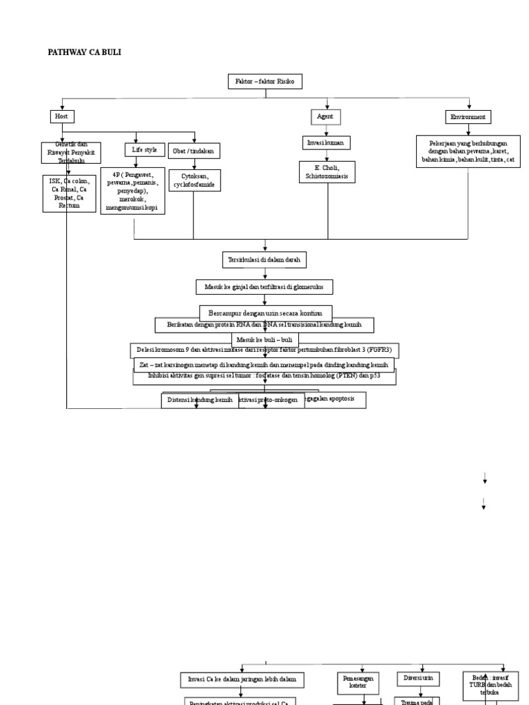 Pathway Ca Buli (Kandung Kemih) Revisi 1 | PDF