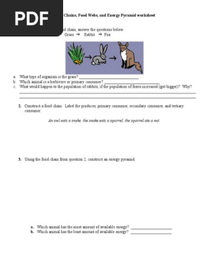 Food Chain And Food Web Worksheets Pdf