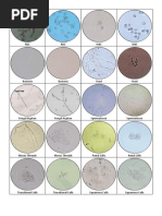 Urine Sediment Atlas: Key Points | PDF | Medical Specialties | Clinical ...
