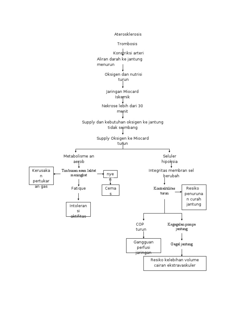 Pathway IMA | PDF