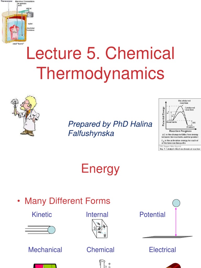 05.thermodynamics. Entropy - Free Energy of Gibbs | PDF | Gibbs Free ...
