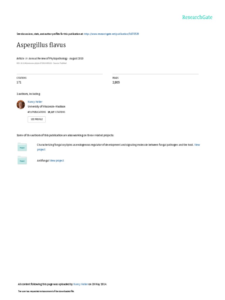 Aspergillus Flavus (Nancy Keller) | PDF | Aspergillus | Fungus