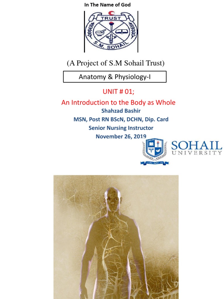 Human Body Structure Overview | PDF | Human Body | Tissue (Biology)