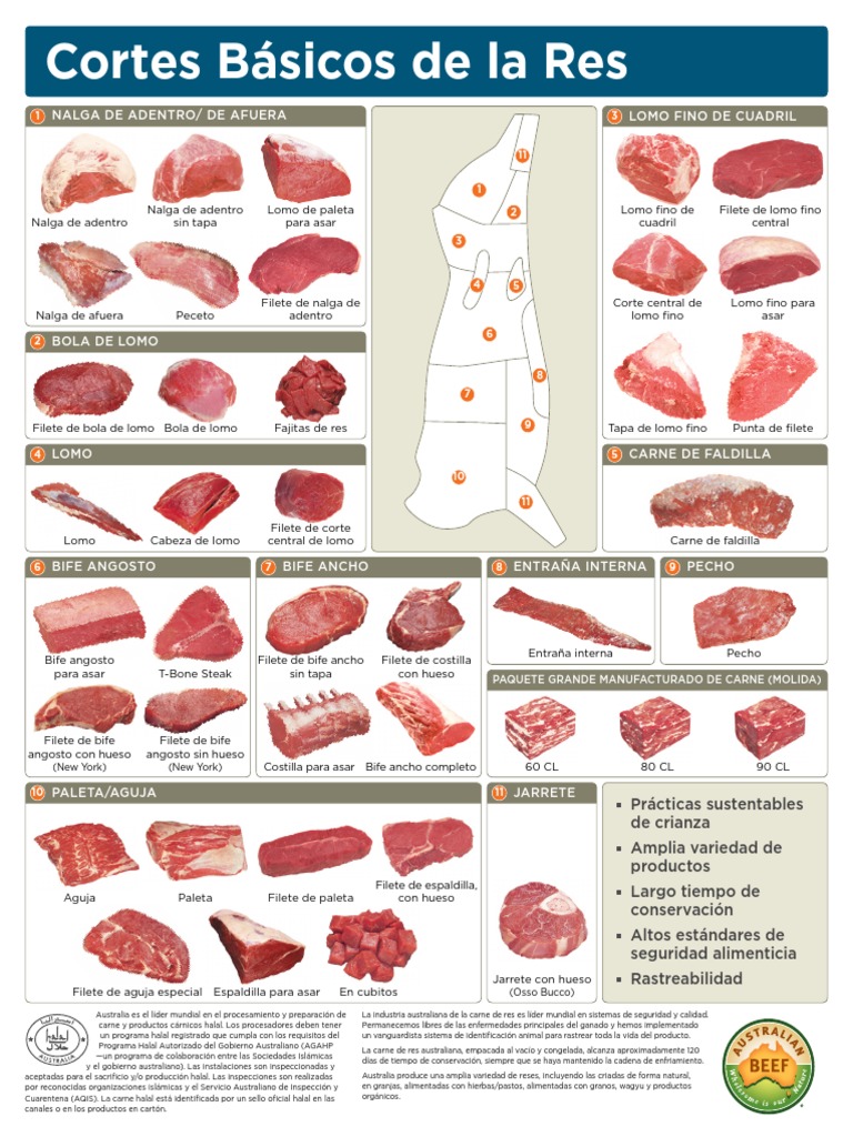 Cortes básicos de carne de res | PDF | Alimentos | Industria de alimentos