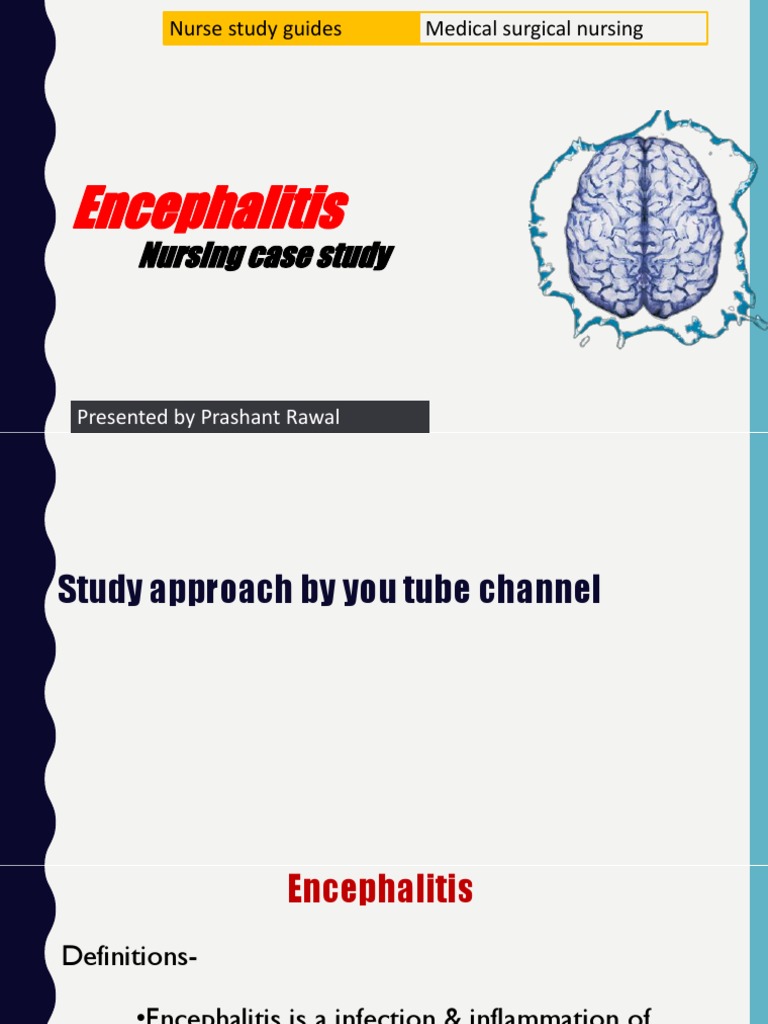 Encephalitis Nursing Case Study | PDF