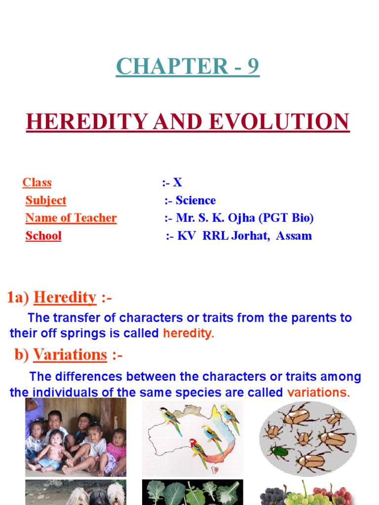 Heredity and Evolution PDF | PDF | Heredity | Genetic Variation