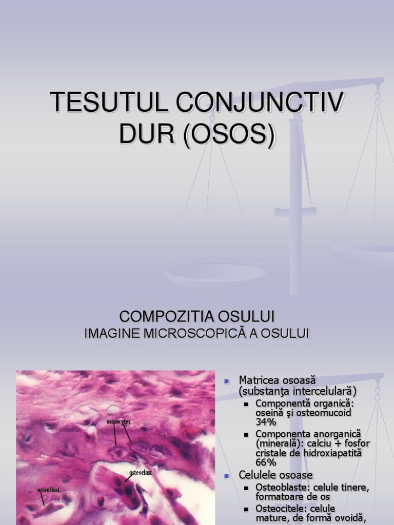 Tesutul Conjunctiv Dur Osos | PDF