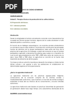 Sistema de Roza y Quema Maya | PDF | México | Agricultura