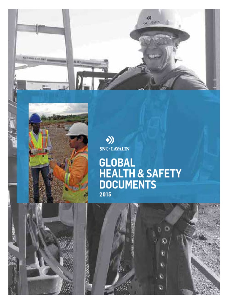 Global Health & Safety Documents 2015 | PDF | Risk Management | Risk