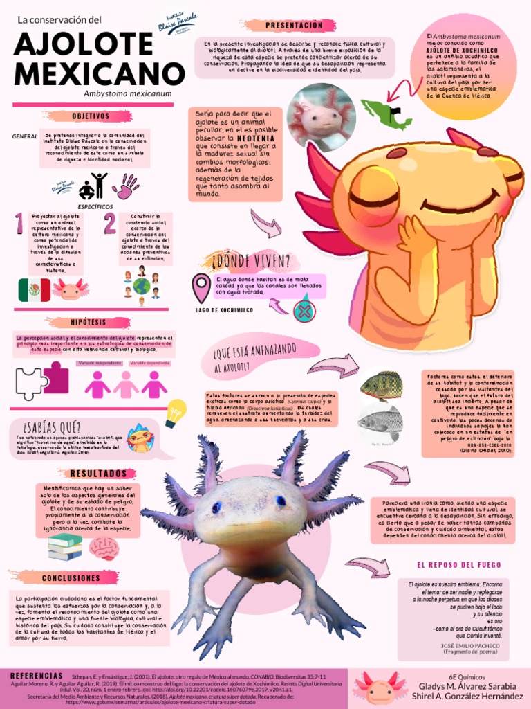 Ajolote Mexicano PDF | PDF | Organismos | Conservación