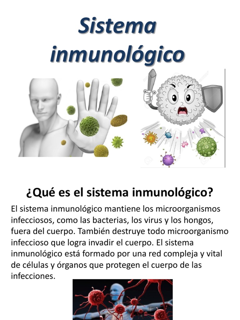 Sistema Inmunologico | Descargar gratis PDF | Linfocitos | Sistema inmune