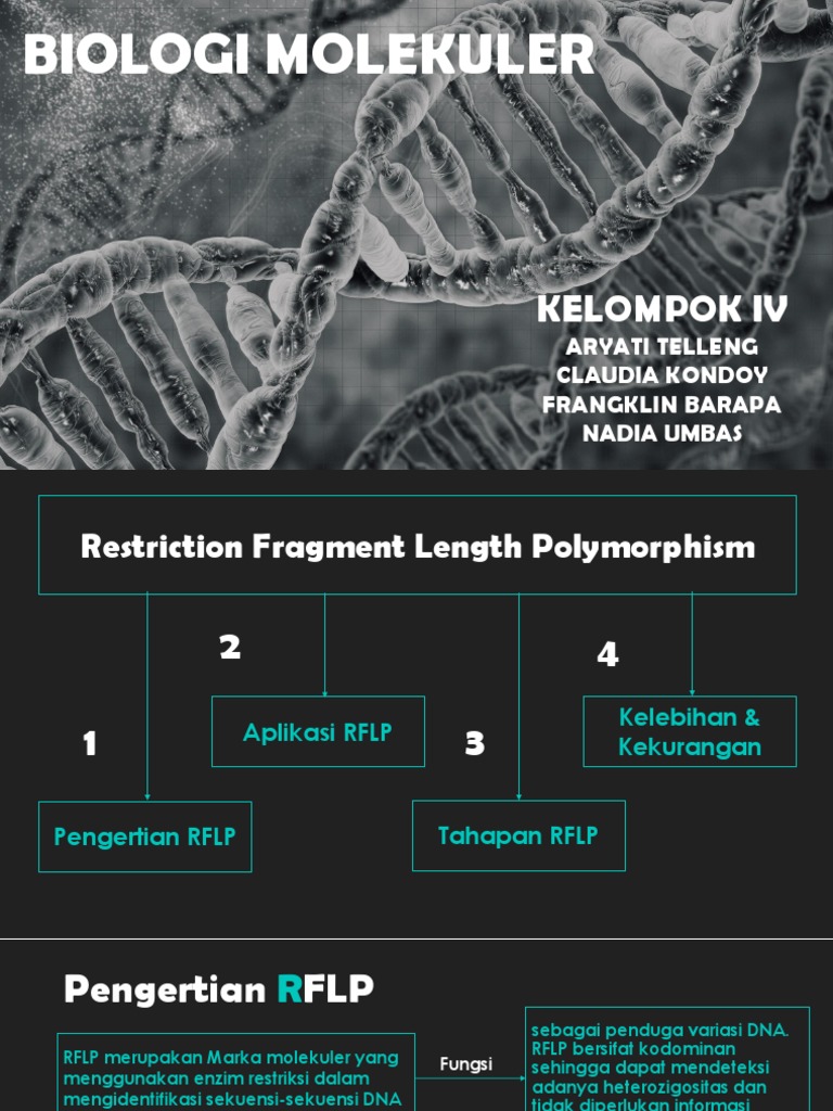 BioMol RFLP Kelompk IV.v1.20 | PDF | Sains & Matematika