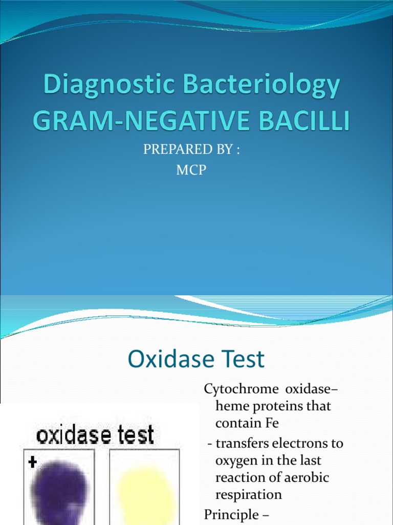 Bacte PPT #10 - Gram Negative Bacilli Part 1 | PDF | Immunology | Bacteria